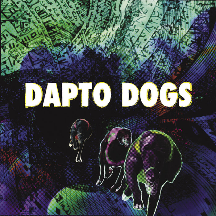DAPTO DOGS | DAPTO DOGS