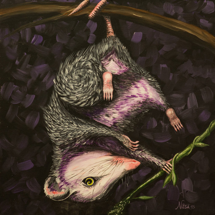 Possum the Road Squirrel | Cricket Creek Gypsies