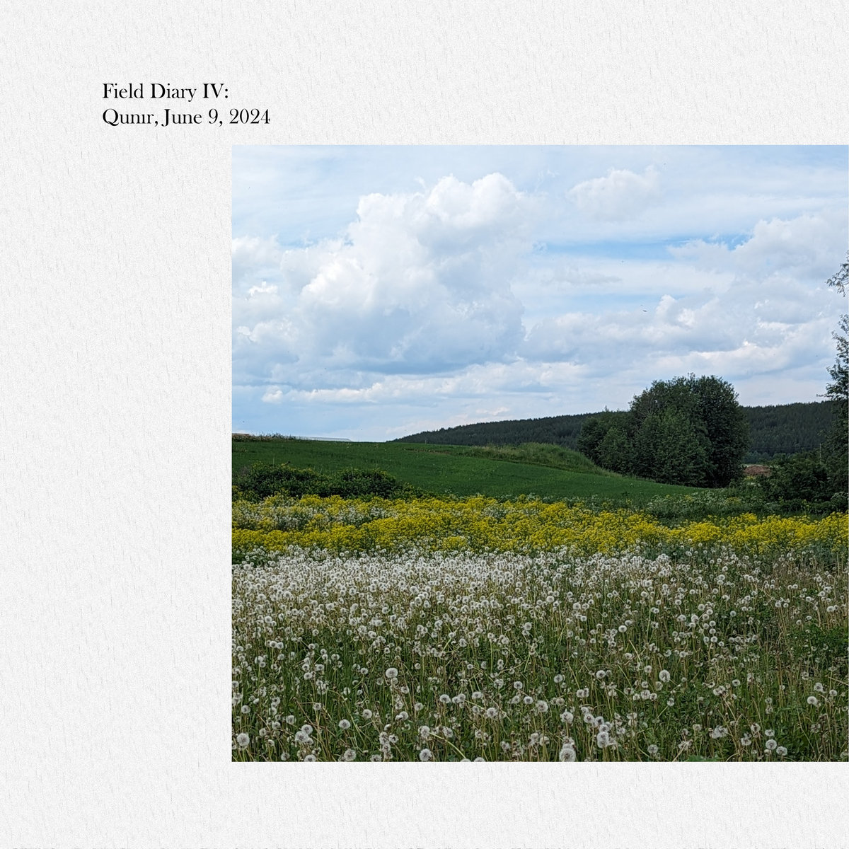 Field Diary IV: Qunır, June 9, 2024 | The Field Observer Communion