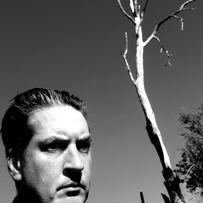 'Volume 1: Spiralling' | Jon Free | Wild Animals Records