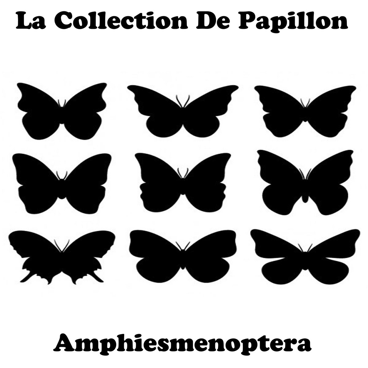 Amphiesmenoptera | La Collection De Papillon | PTPRECORDS
