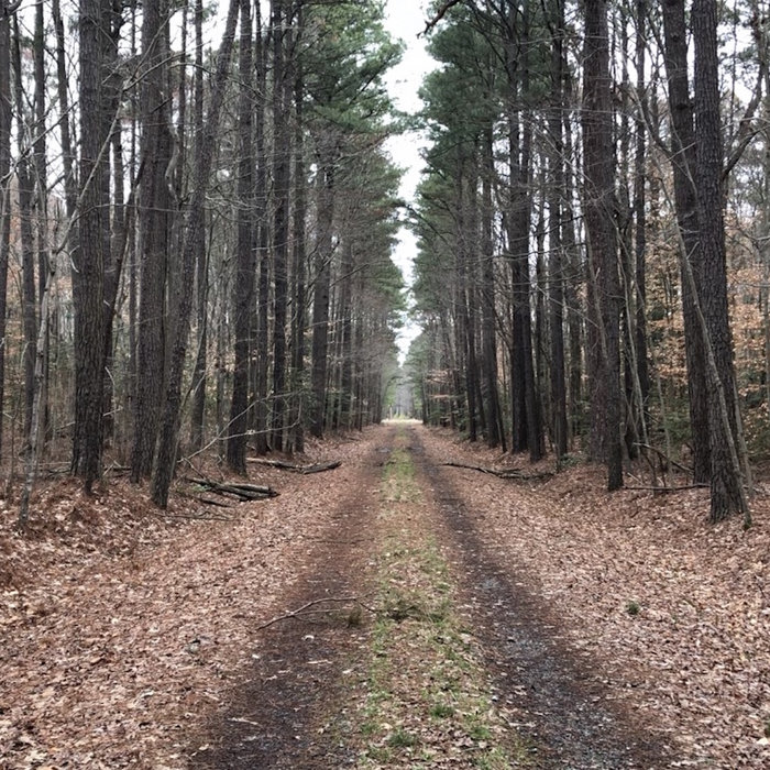 Isolation (Field Recordings in the Time of COVID-19) | mb | Temporal ...