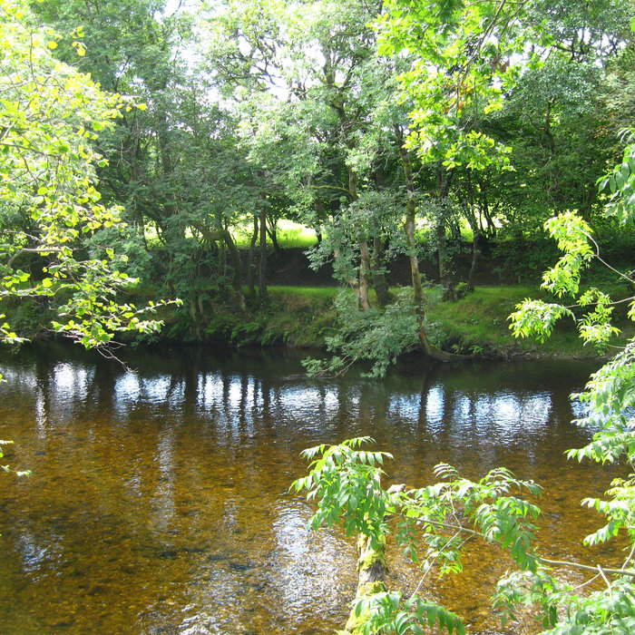 Live at the Lost Arc, Rhayader | Wye the Folk