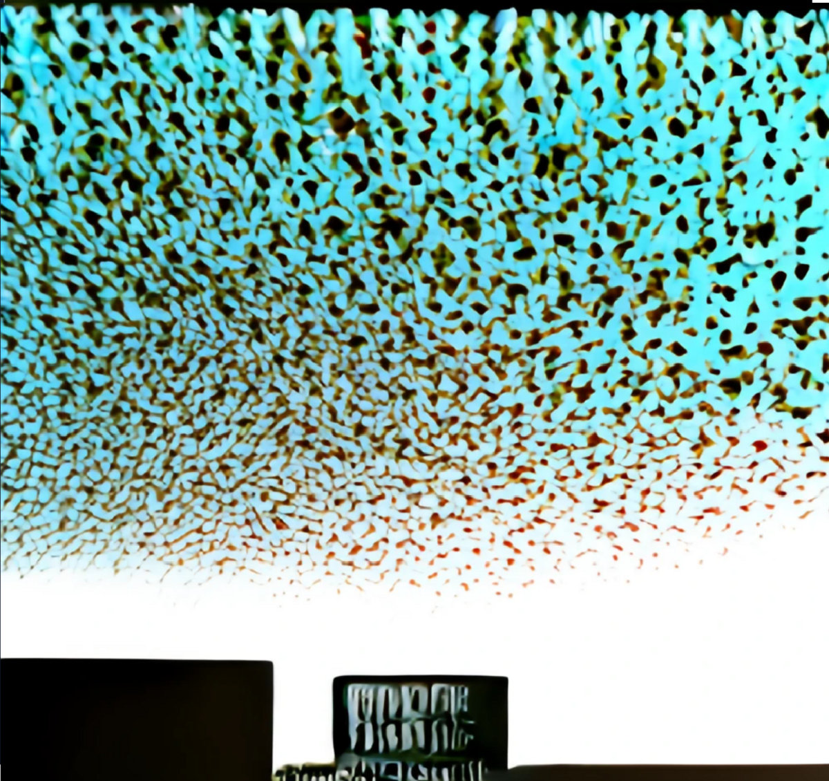 The Inverted World- Single | The Mara