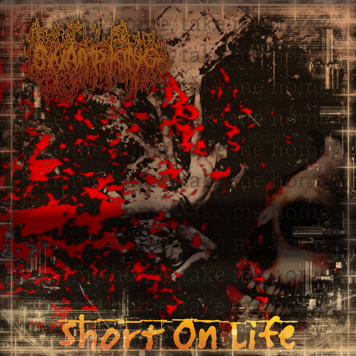 Short On Life | Swamp King