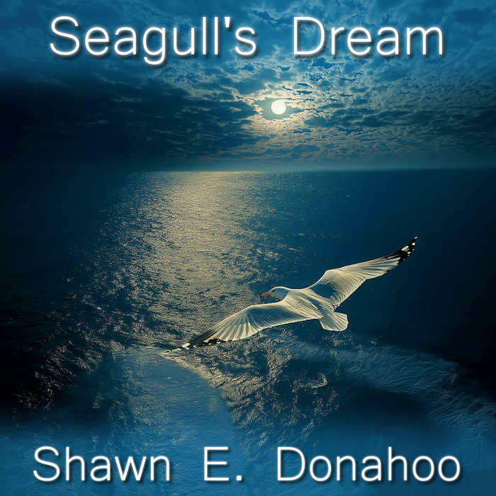 Seagull's Dream | Shawn E. Donahoo