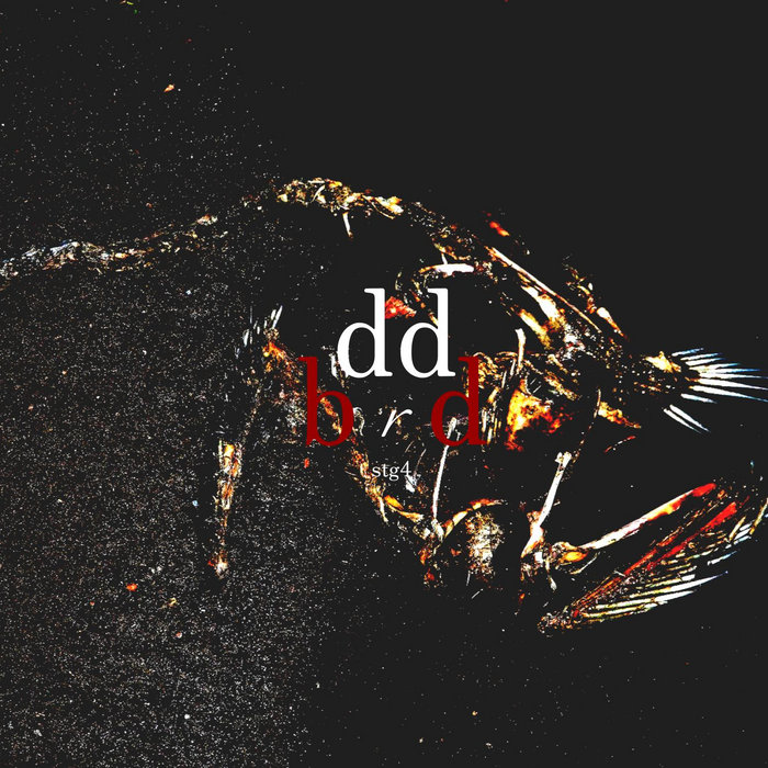 stg4 | dd brd