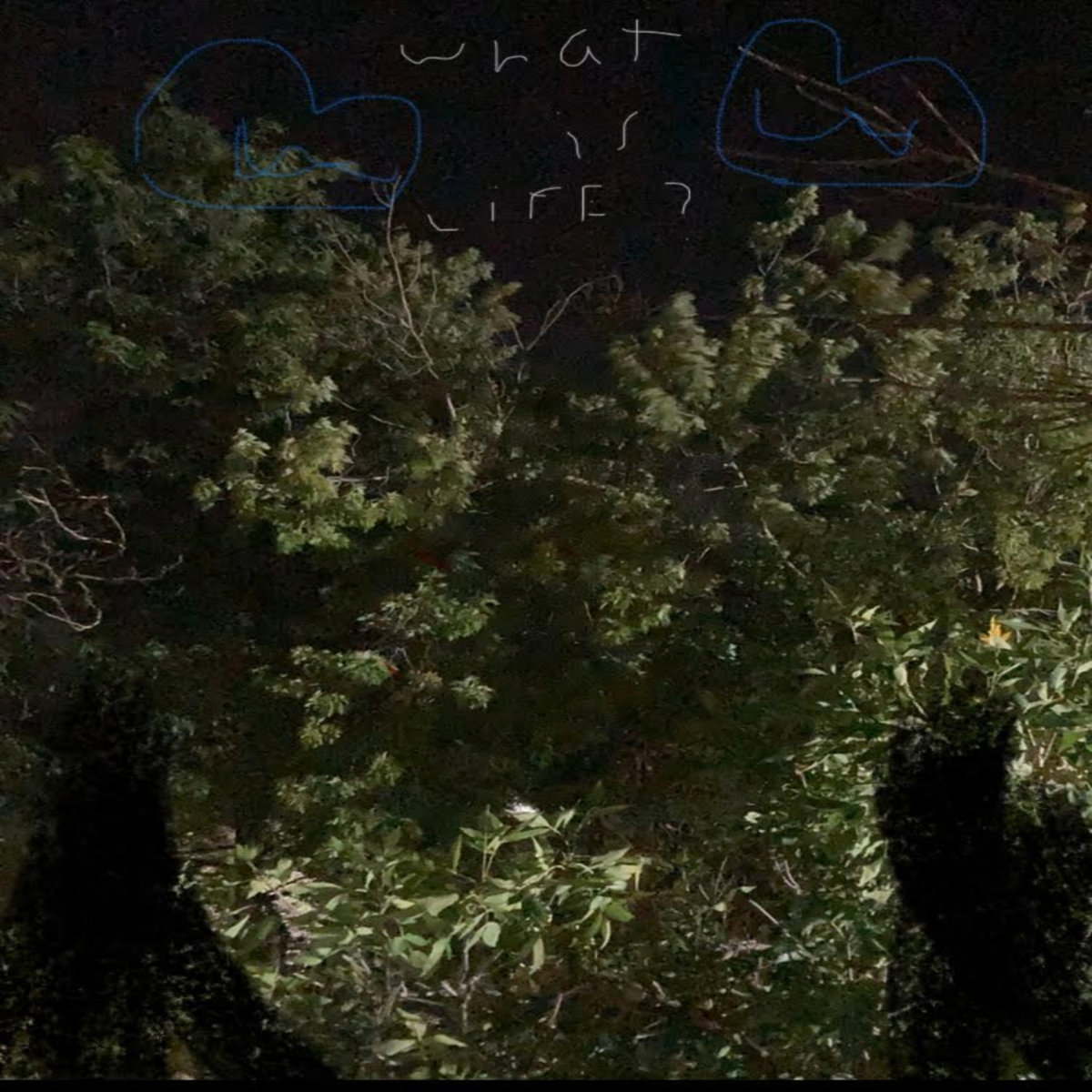 What is life? | Lil Redd X