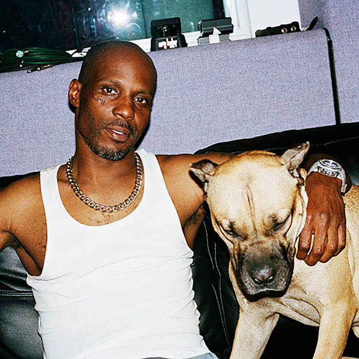 Dmx Pitbull