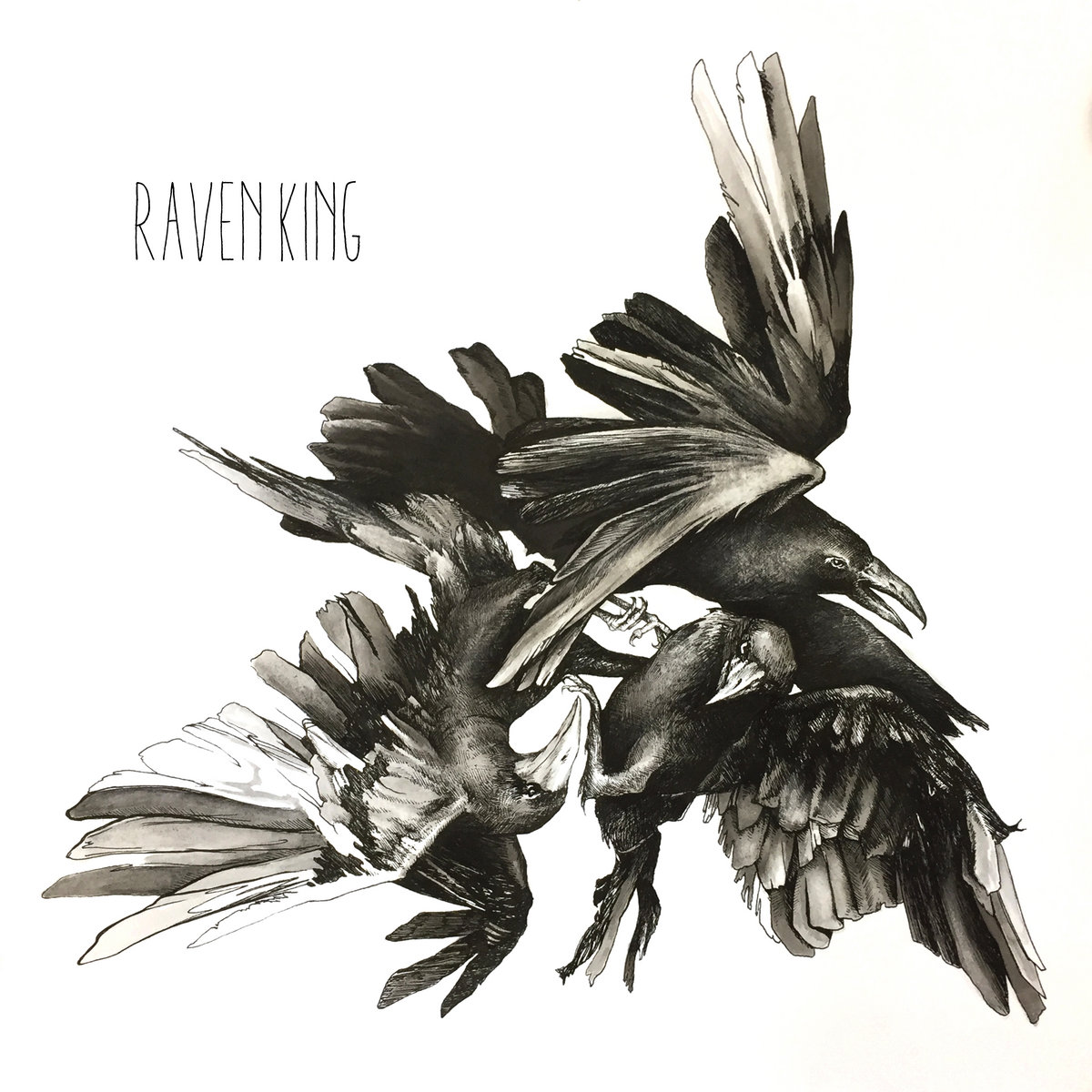 Raven King | Raven King