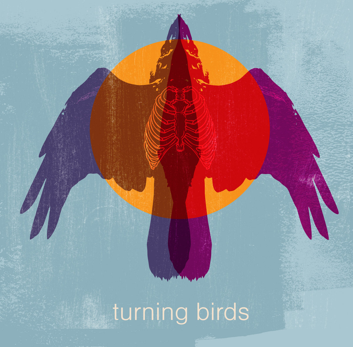 Demo | Turning Birds