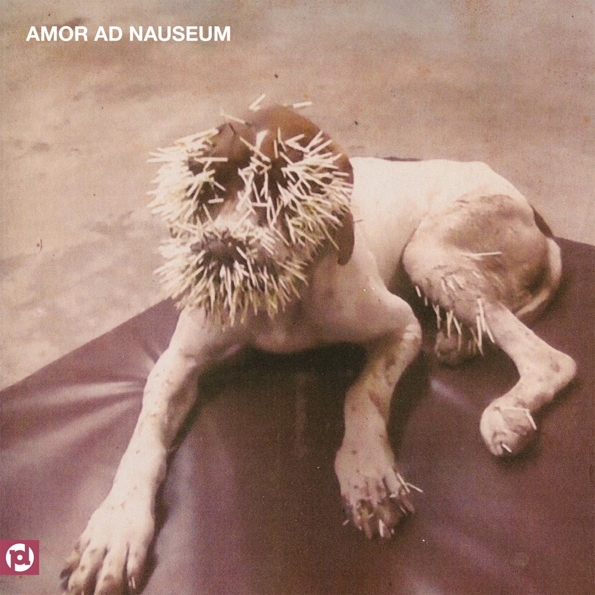 Amor Ad Nauseum Aan amor-ad-nauseum-aan
