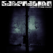 Absurd Romanticism | Coma Cluster Void