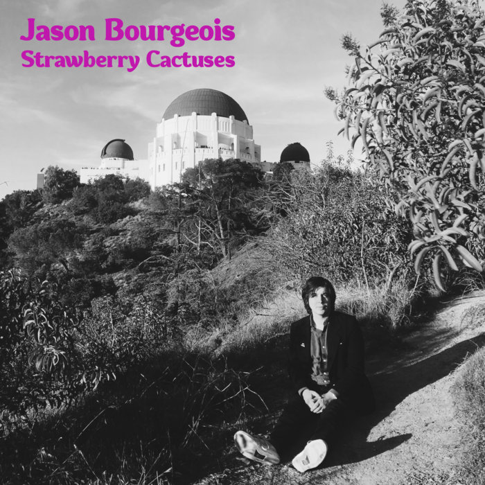 Strawberry Cactuses | Jason Bourgeois