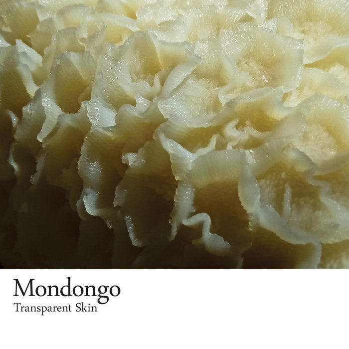 Transparent Skin | Mondongo