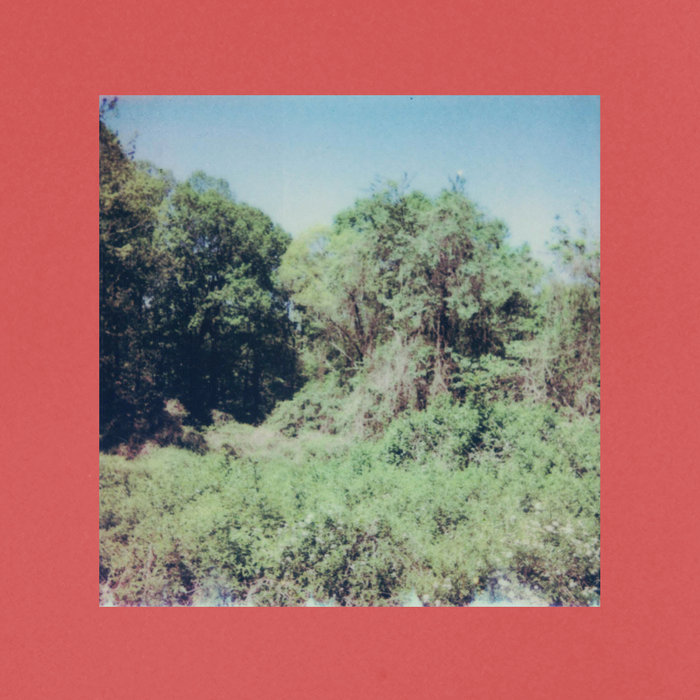 AW Walks to the West Bank of the French Broad Every Day | Andrew Weathers