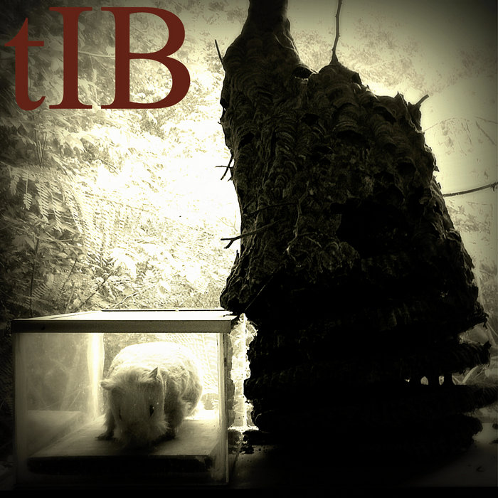 The Geography of Braille | tIB