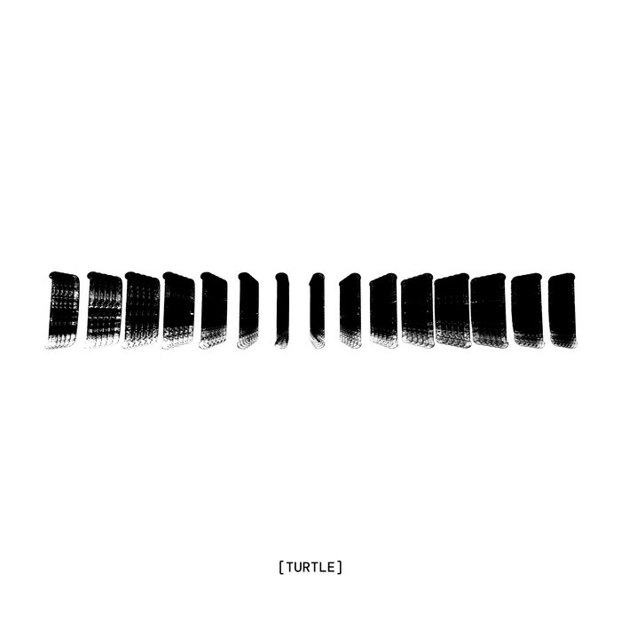 Landmass Remixed | Turtle