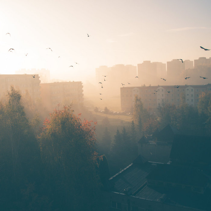 Good Morning | Pollo Francese