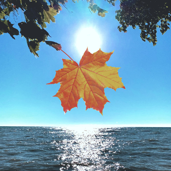 Autumn Waves | Benny Kozioł