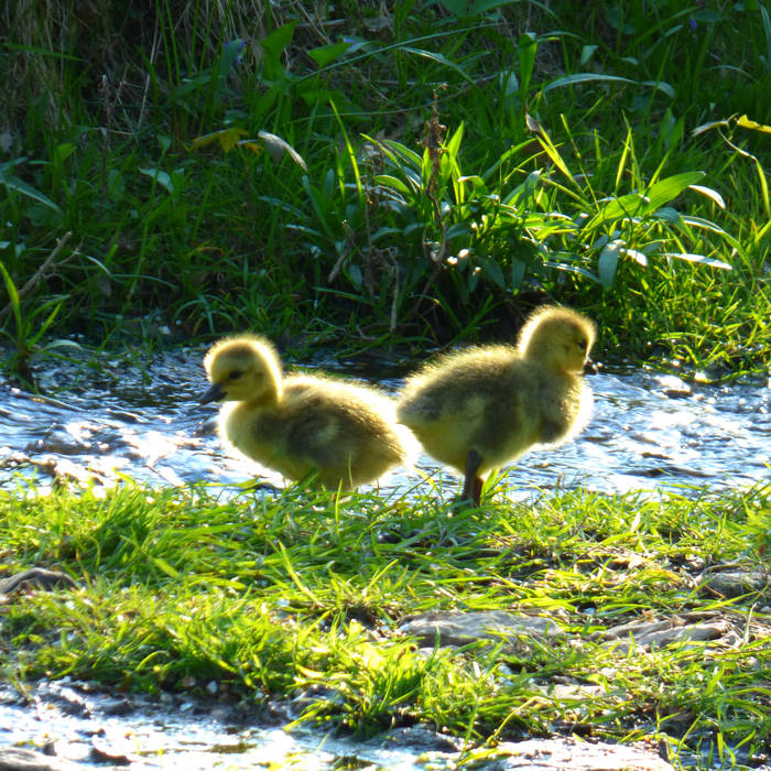 Music | Doug Markley