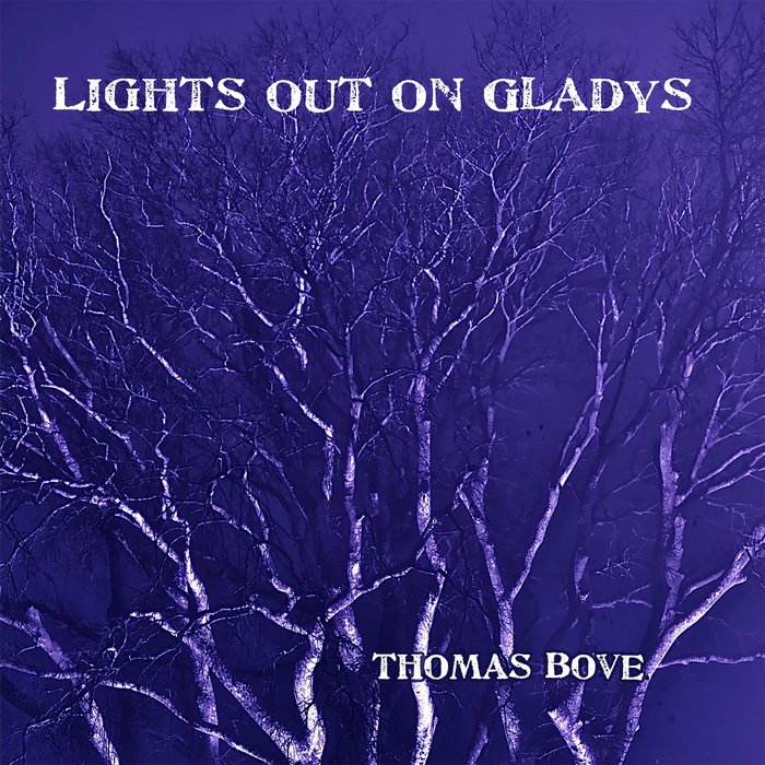 Through The Bedroom Lace | Thomas Bove