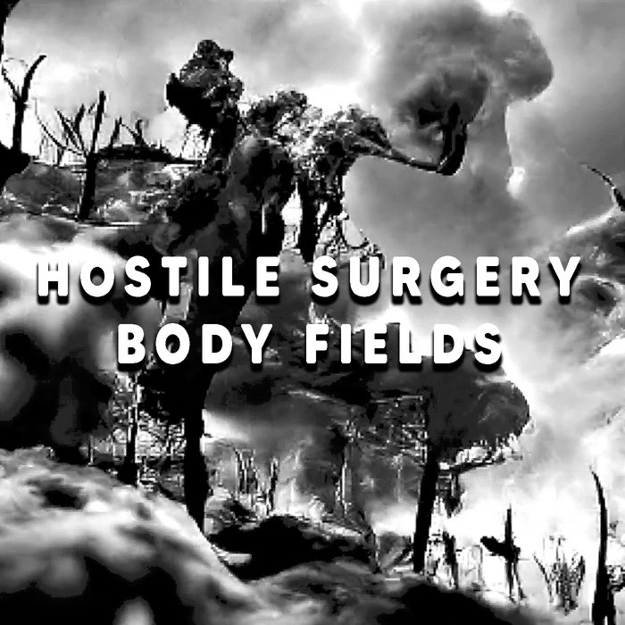 BODY FIELDS | Hostile Surgery