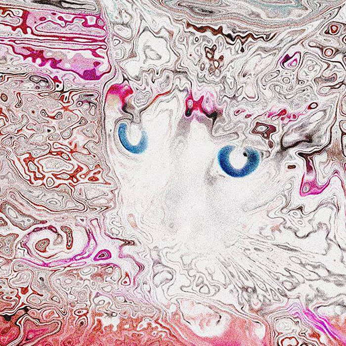 superkat | integrate | no!