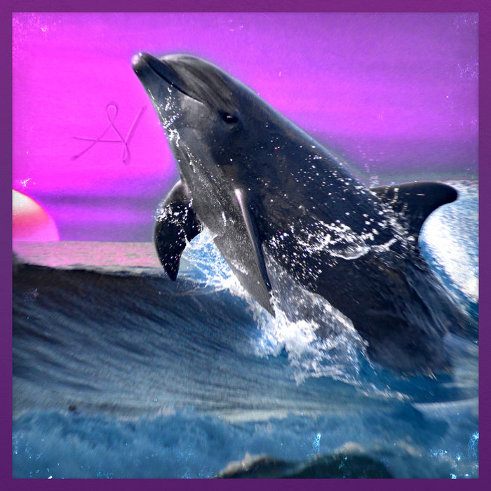 The Dolphin Zone | Ambival