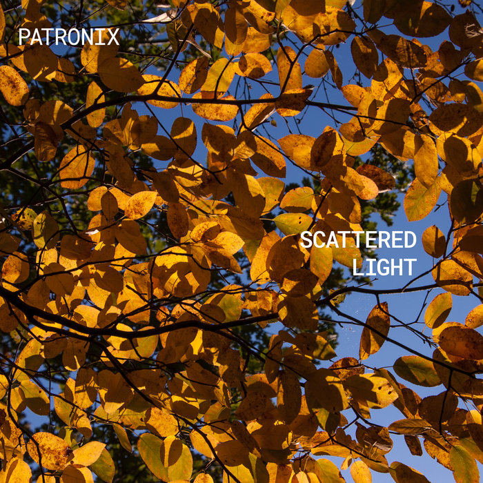 Scattered Light | Patronix