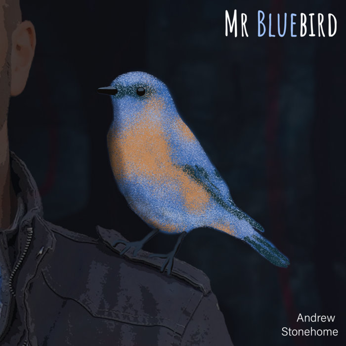 Mr Bluebird | Andrew Stonehome