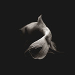 VOCAL ROOTS | Maria Coma