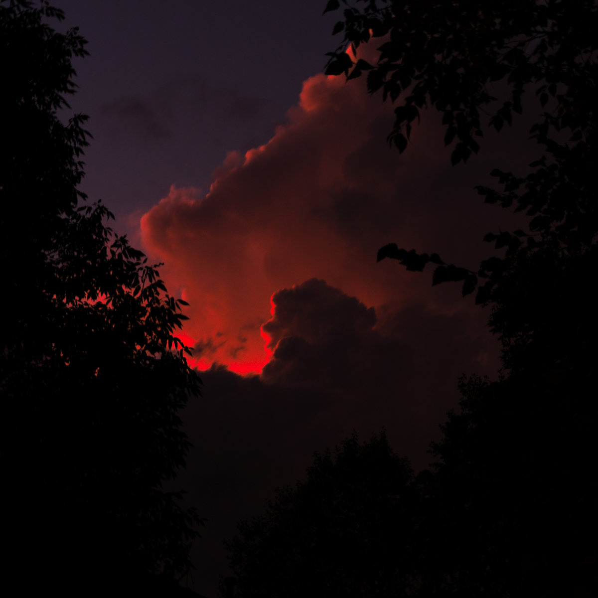 Red Night | Lusterless