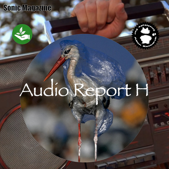 Audio Report H | various | Institute For Alien Research