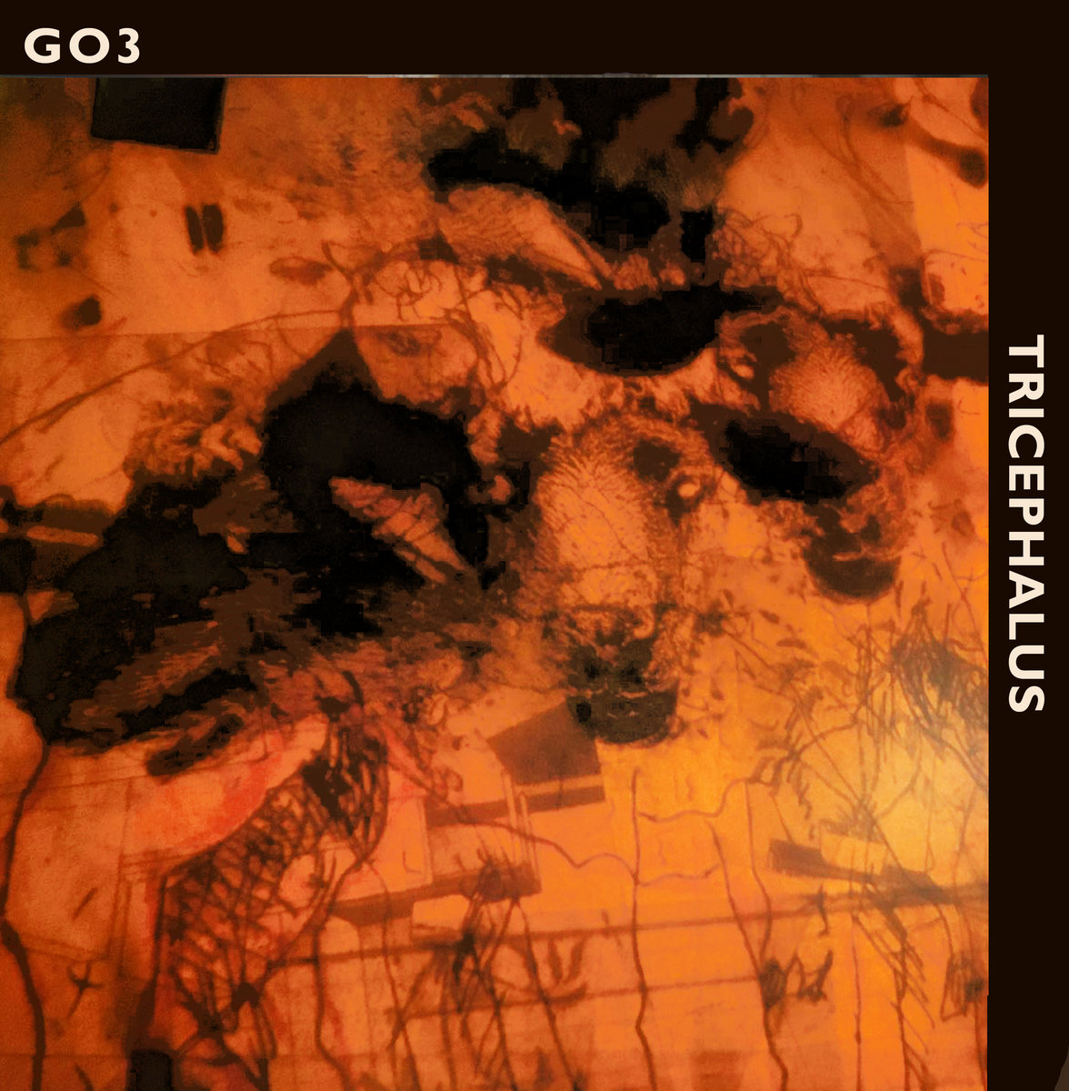 TRICEPHALUS | Alexander Hacke, Danielle de Picciotto, Mick O'Shea | GROUND0