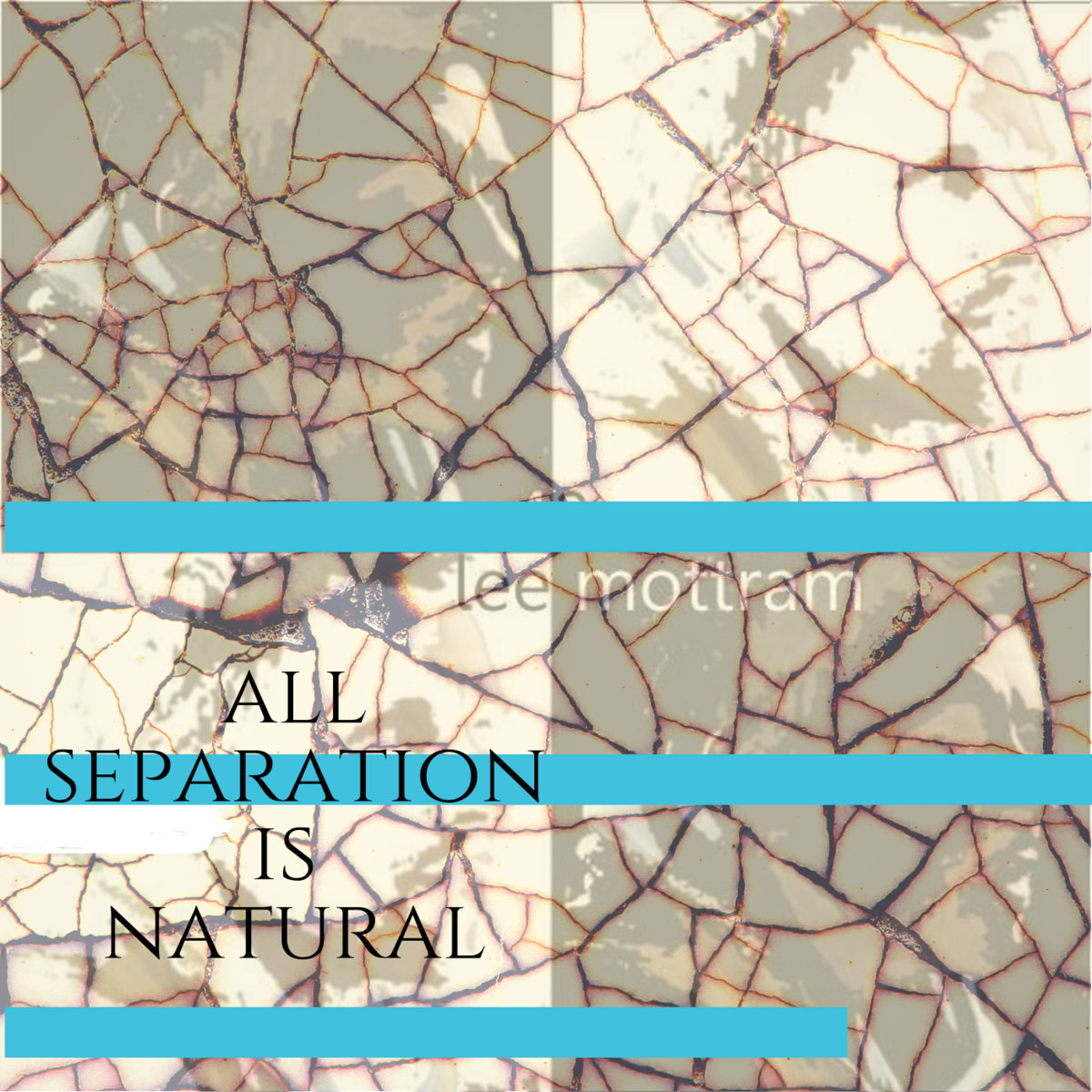 all separation is natural | lee mottram