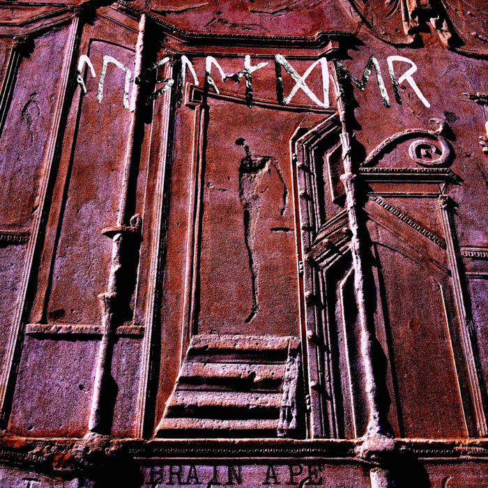 Auslander | Brain Ape