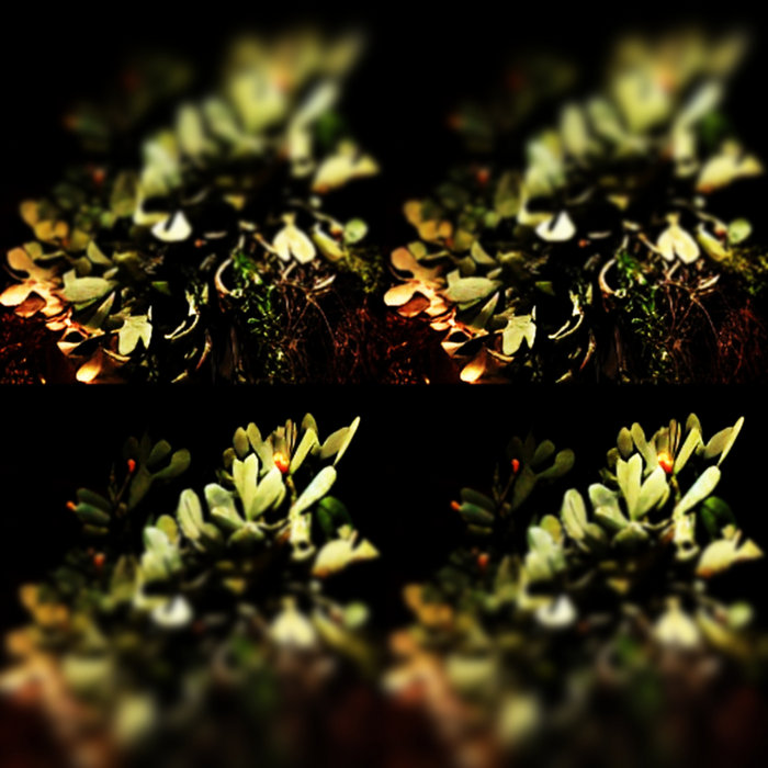 Rodeo // A Message and a Sign | Charlie Perris