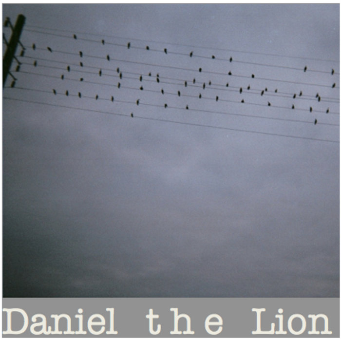 Daniel the Lion | Daniel the Lion