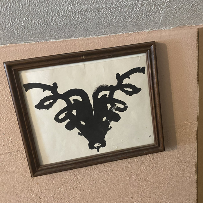 Wolfbot Jax Broadcast Date Taco Tuesday | Gander'spatch