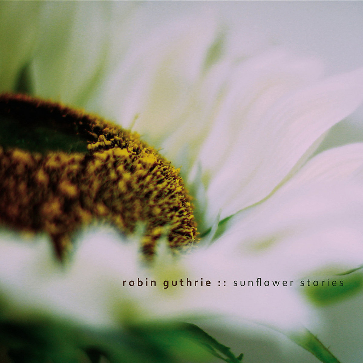 Sunflower Stories [EP] | Robin Guthrie