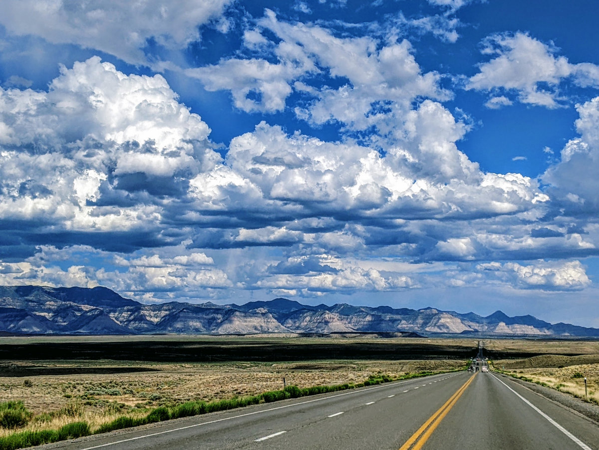 Fazzah Gravy | Fazzah Gravy | Wakka Wakka