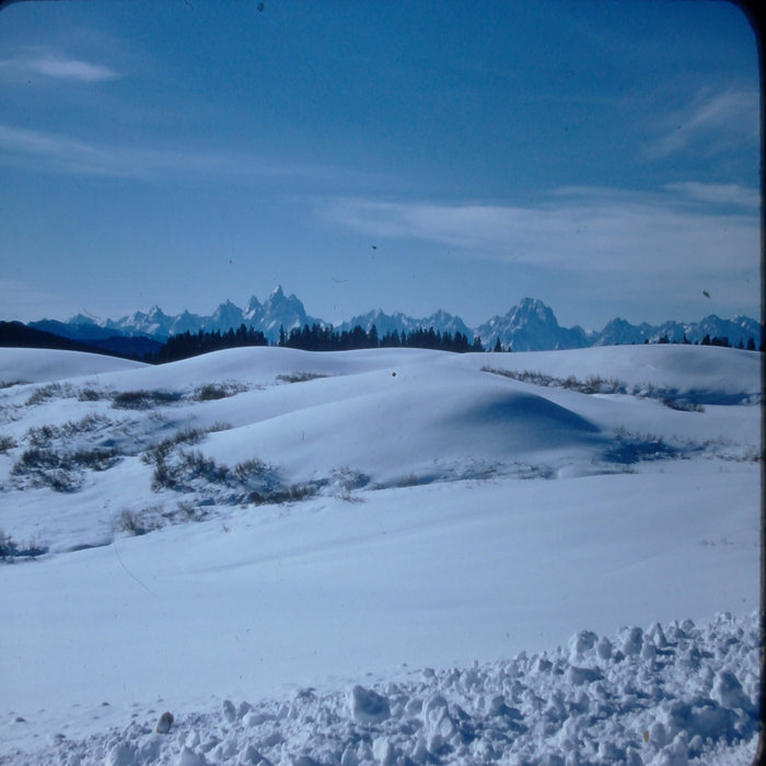 Mount St. Patrick | Elijah Fox