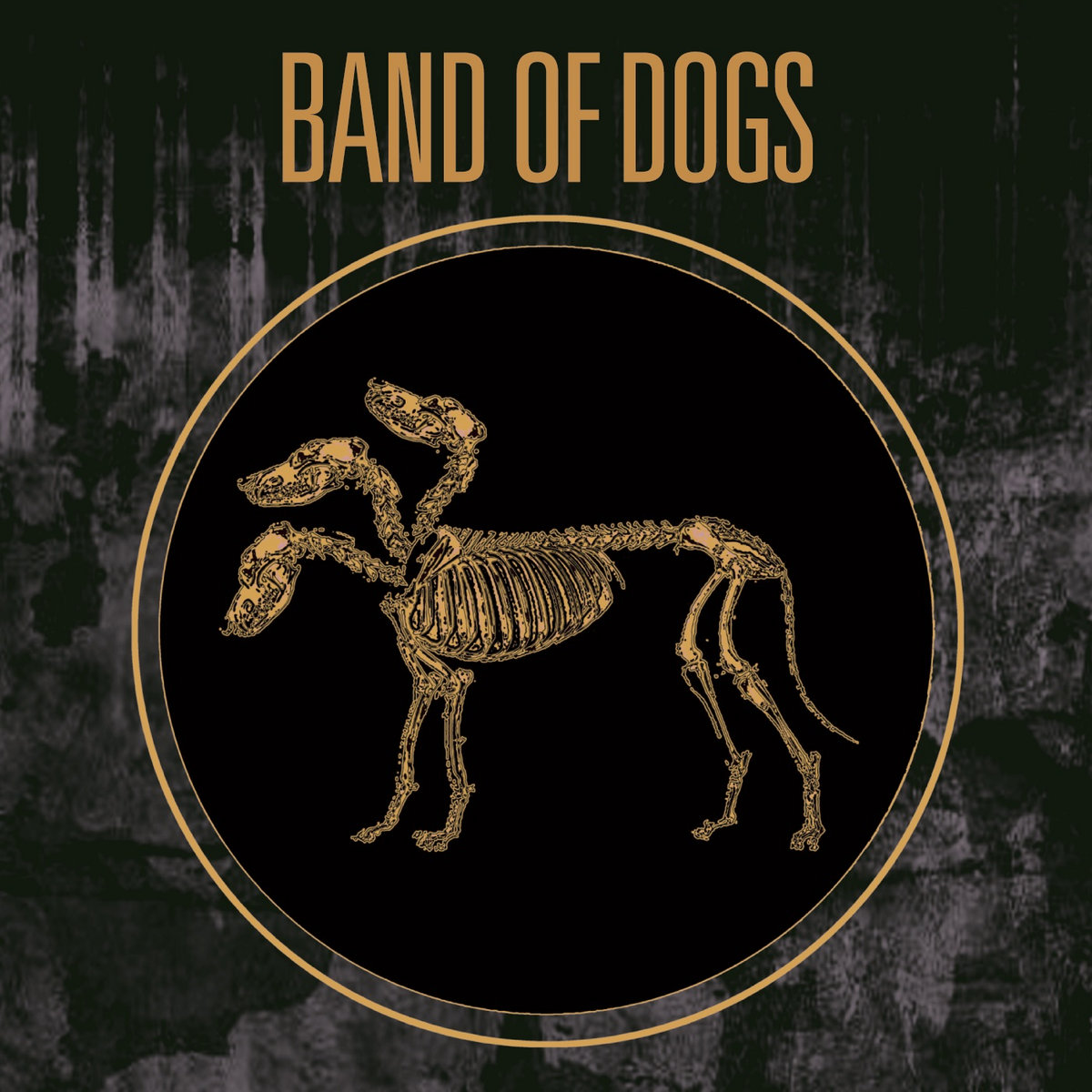 Band of Dogs | Band of Dogs