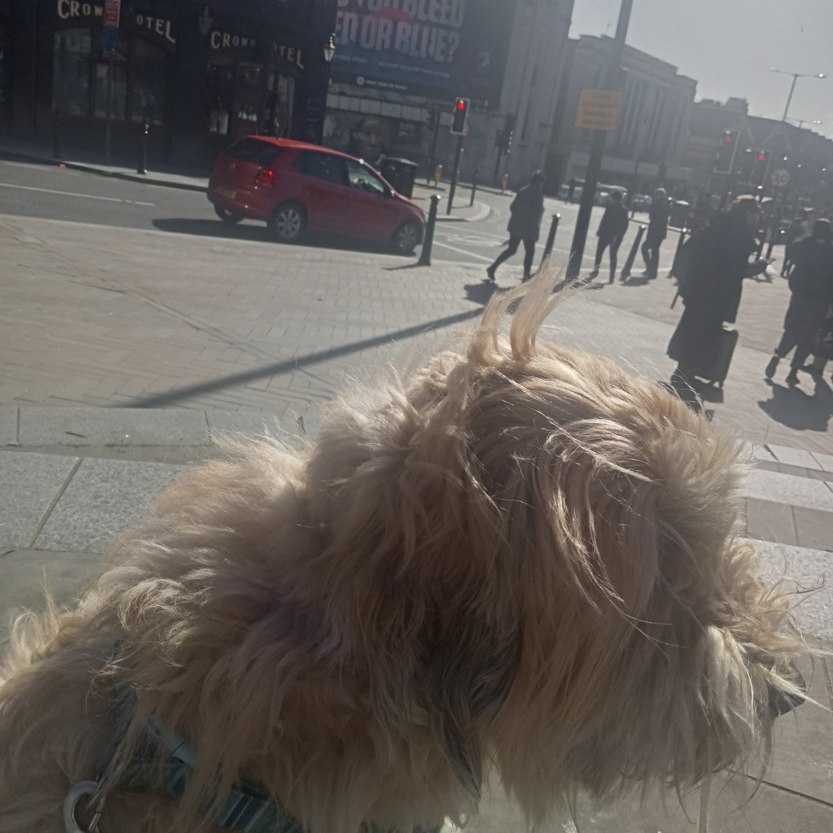 What is Mine pt. 2 | Aidan McCormack Voller