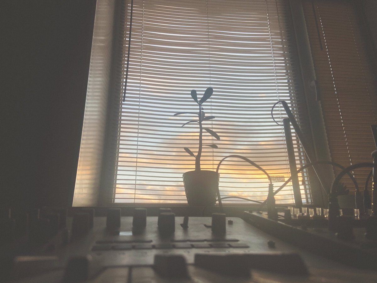 yellow skies, take me there | lurp sheets