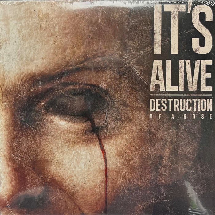 Destruction Of A Rose - It's Alive | Been There Scene That