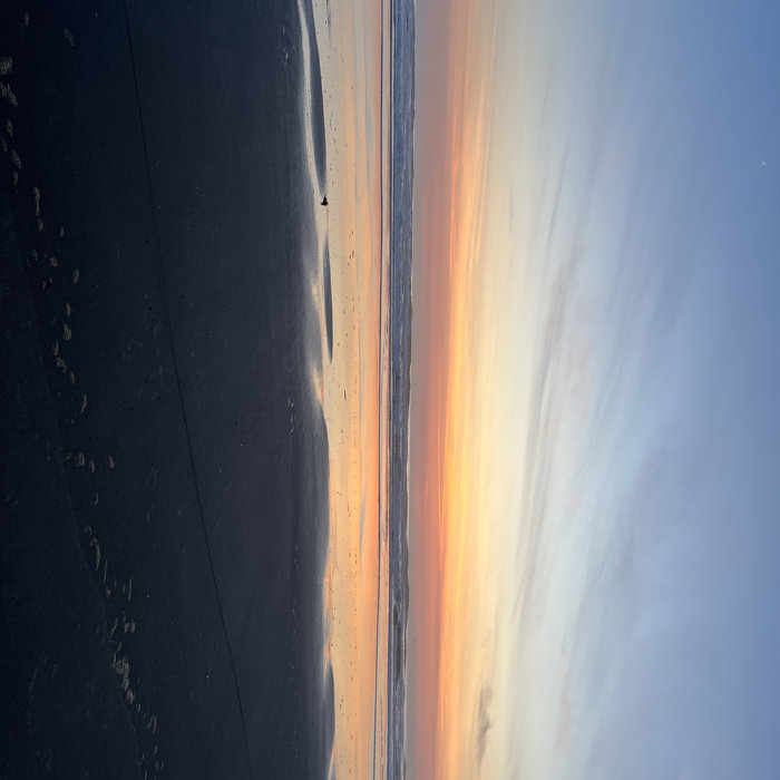 The Vacant West | Cactus Bill