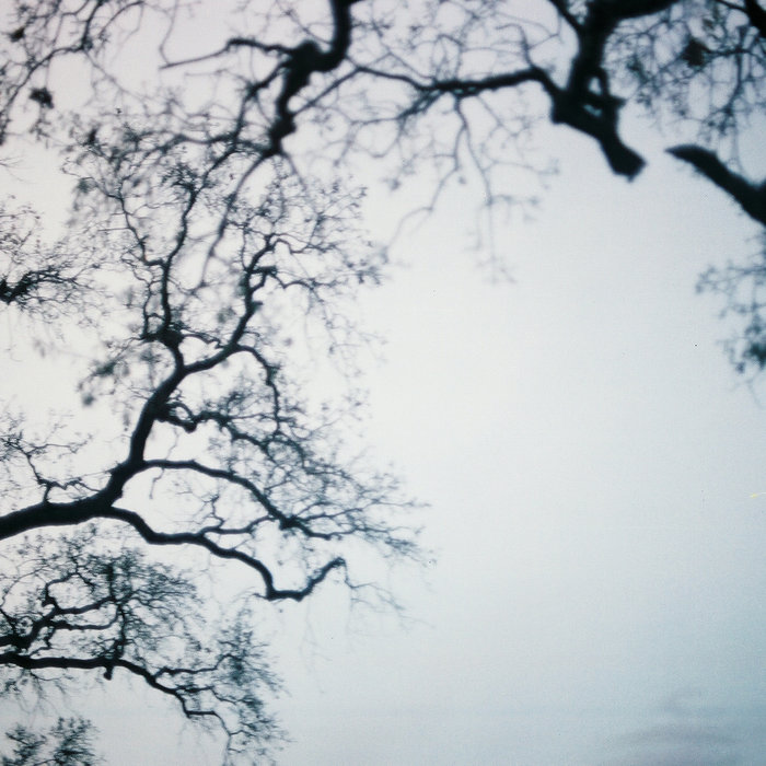 Repeated Measures | Calamity Range