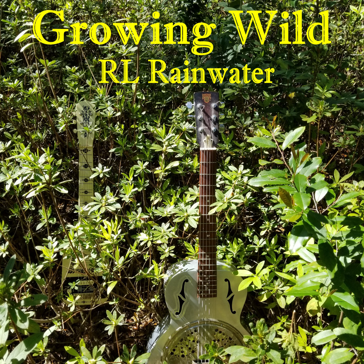 Growing Wild | RL Rainwater
